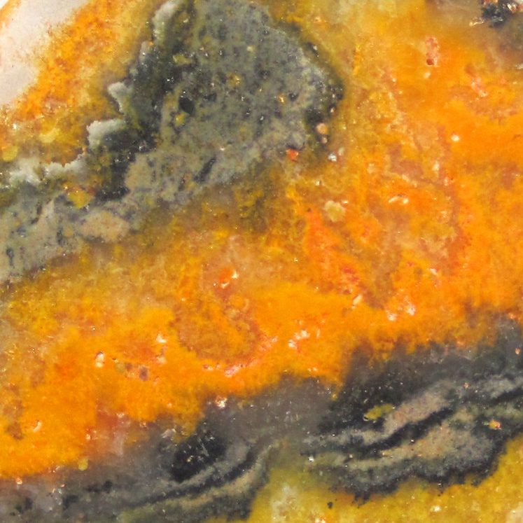 Bumblebee Jasper - ASD Jewellers